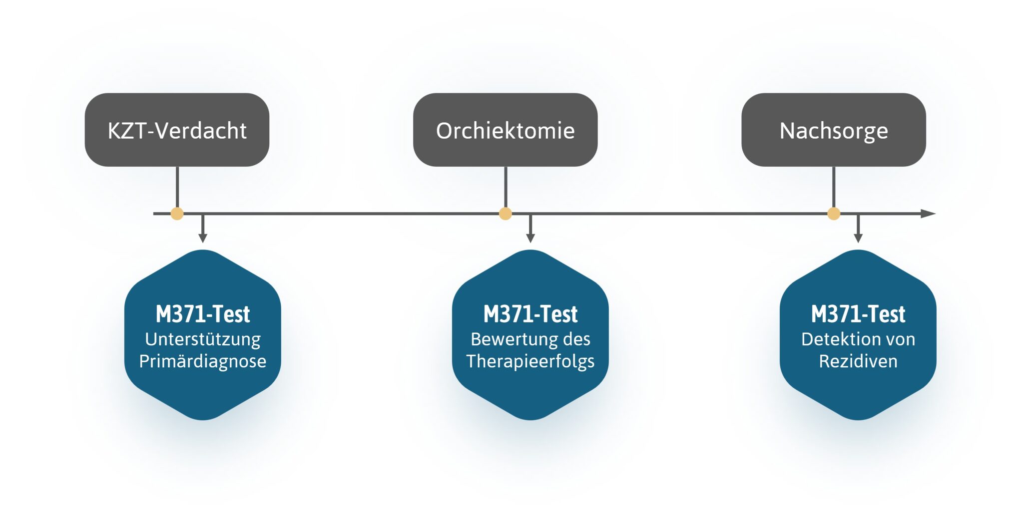 Hochleistungs-Tumor-Tests - mir|detect